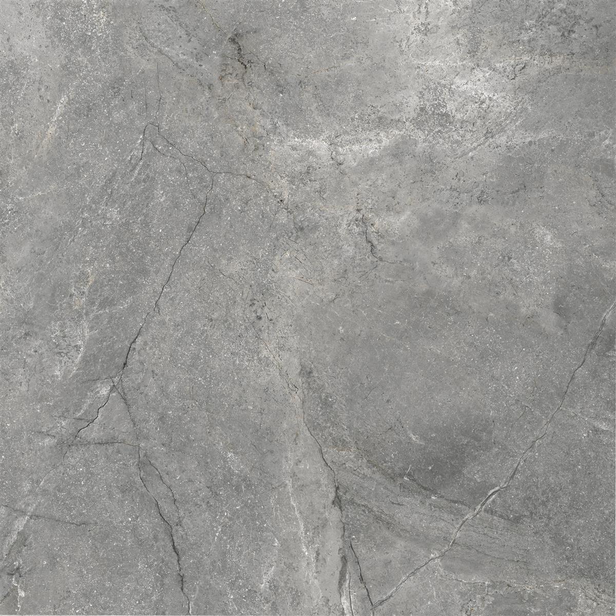 Carrelage Sol Et Mur Pangea Marbre Optique Poli Brillant Gris 60x60cm